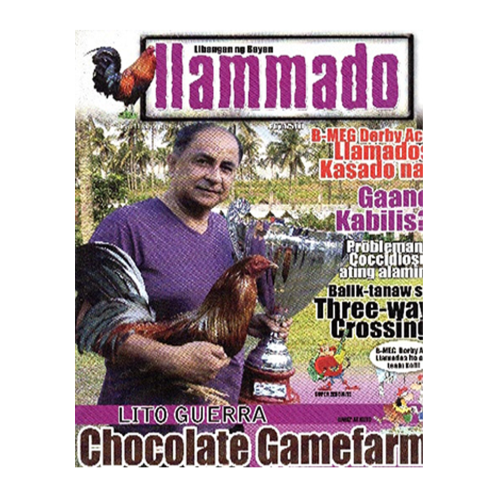 Llammado #10 - EDL Store