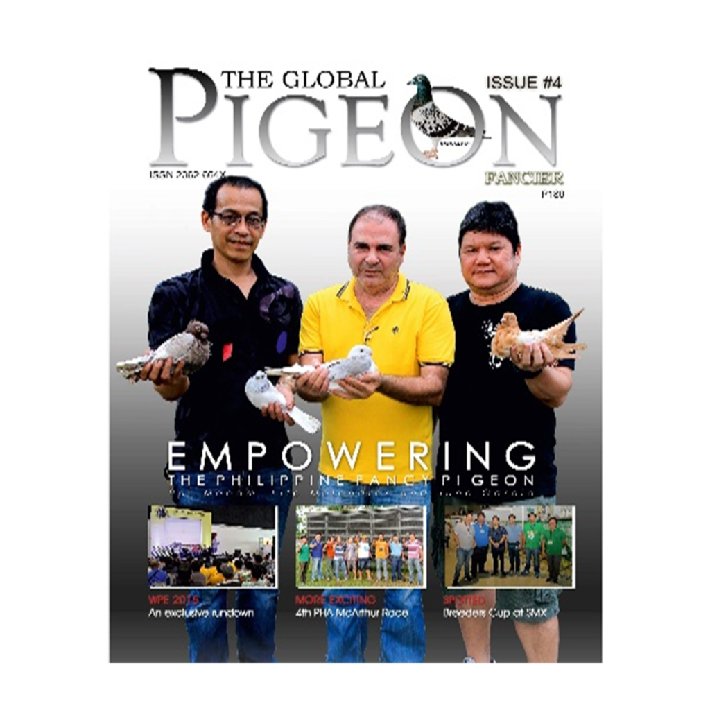 The Global Pigeon #4 - EDL Store