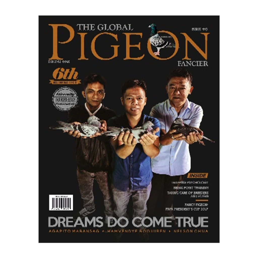 The Global Pigeon #9 - EDL Store