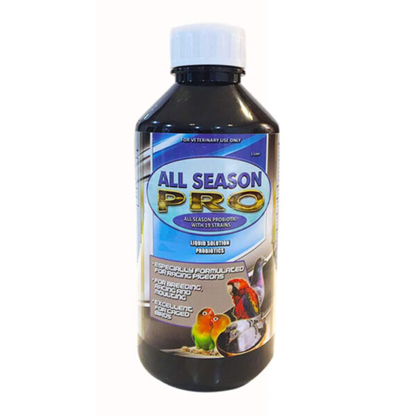 Reload Plus (10 ml) - EDL Store