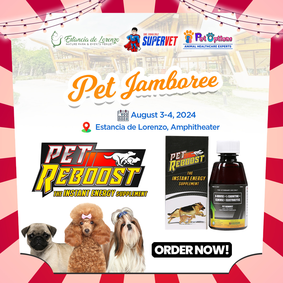 Pet Options Archives - EDL Store